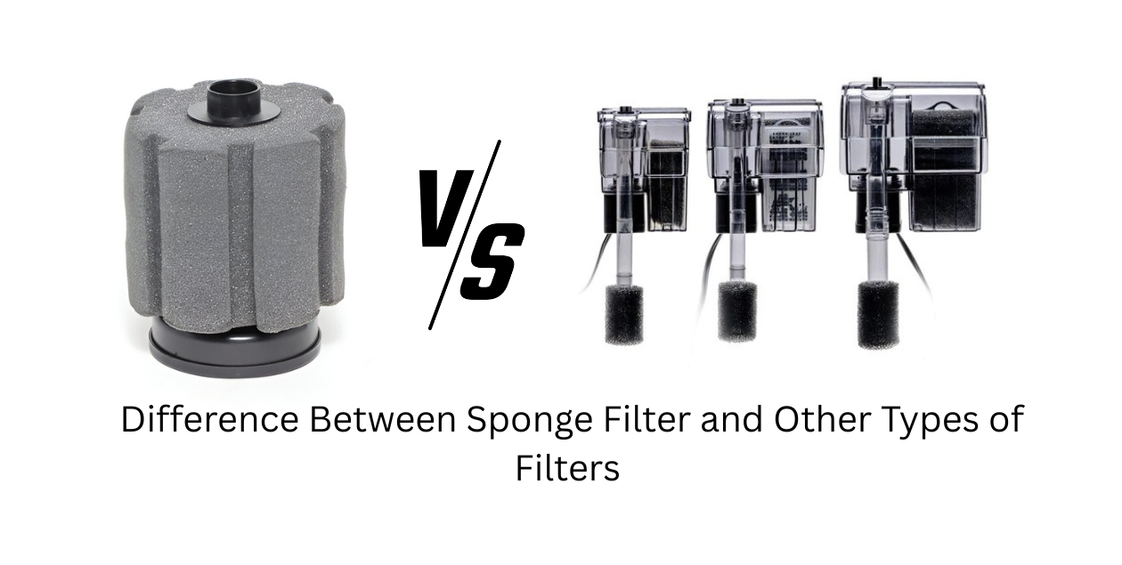 How Sponge Filters Work: Aquarium Filtration Guide by Kare Foam